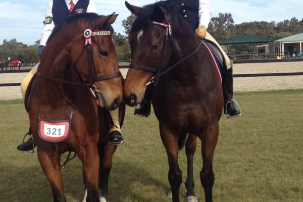Horse Riding Club Association of Victoria