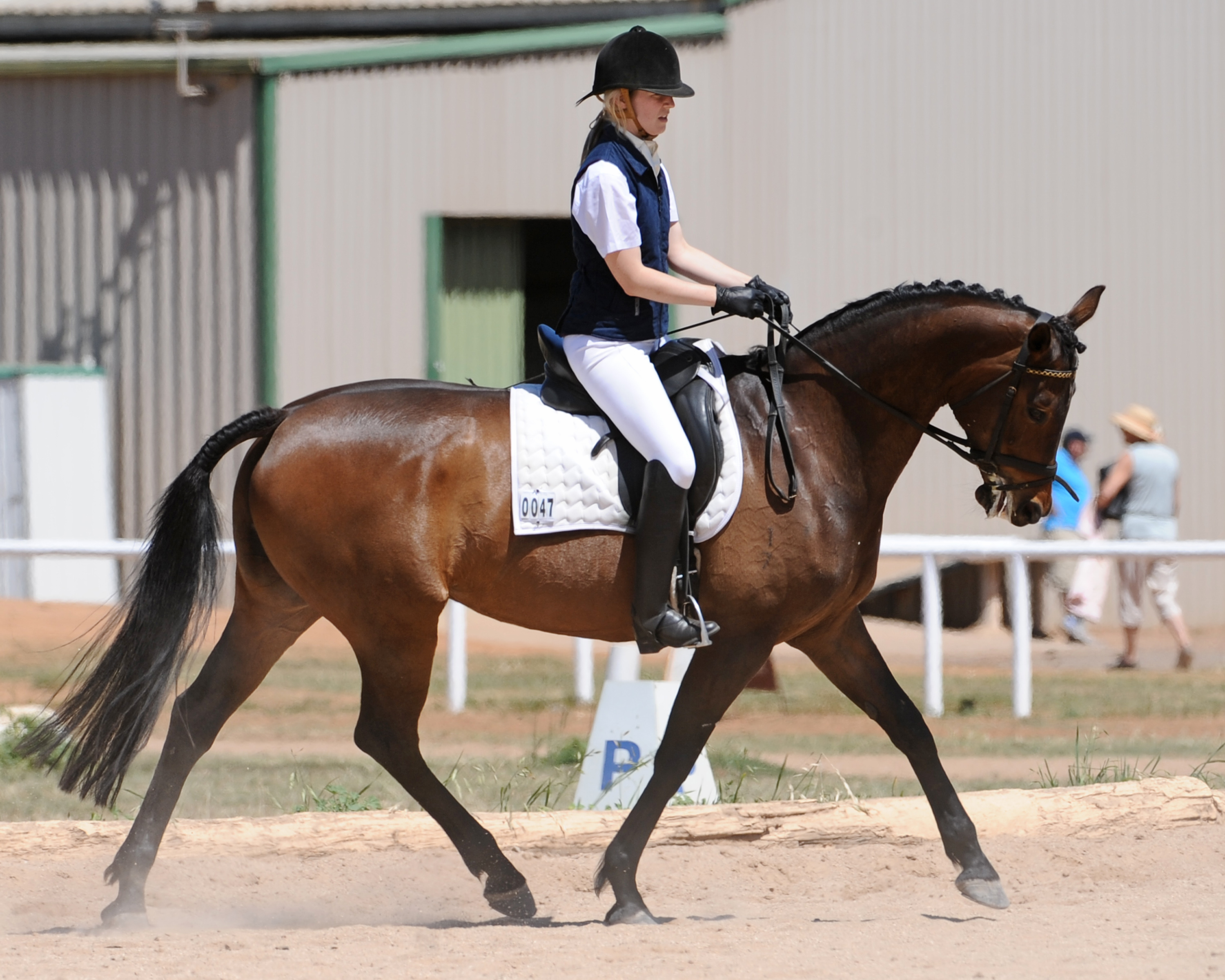 Individual Dressage Championships - Horse Riding Club Association of ...